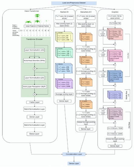 Plants | Free Full-Text | Plant-CNN-ViT: Plant Classification with Ensemble of Convolutional ...