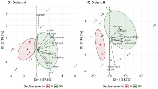 The Comparative Root System Architecture of Declining and Non-Declining ...