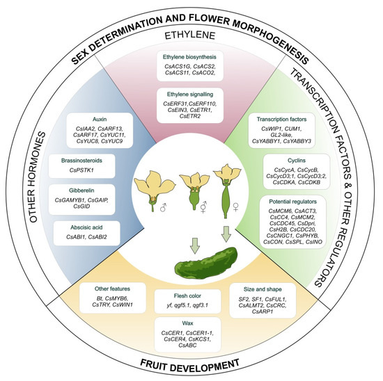 Impact of Climate Change on Regulation of Genes Involved in Sex ...