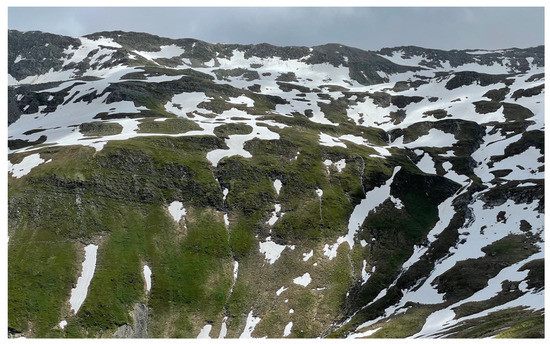 Concepts in Alpine Plant Ecology