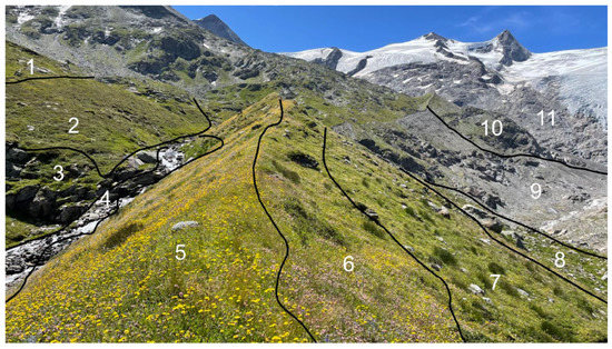 Concepts in Alpine Plant Ecology