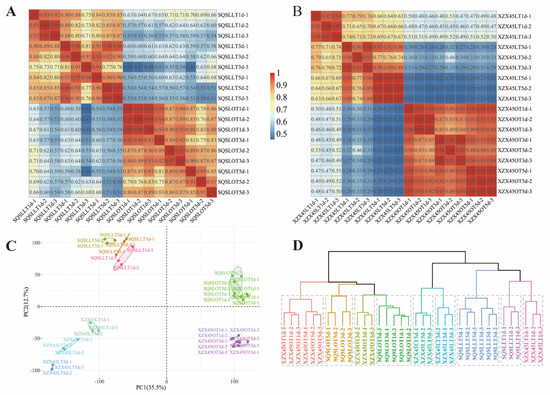 Transcriptomic Profiling of Cold Stress-Induced Differentially ...
