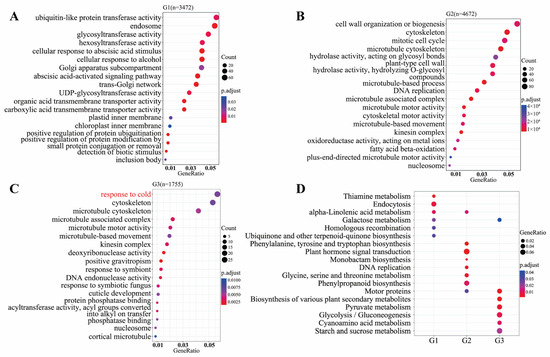 Transcriptomic Profiling of Cold Stress-Induced Differentially ...