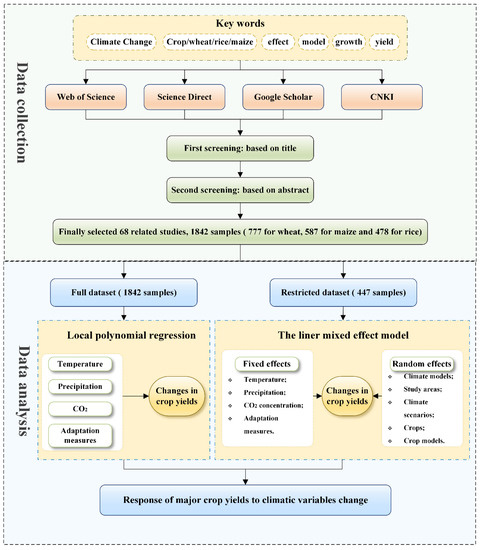 Plants | Free Full-Text | Response of Wheat, Maize, and Rice to Changes ...