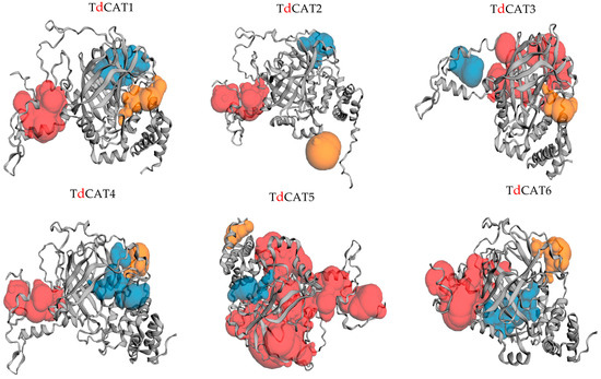 Catalase Gene Family in Durum Wheat: Genome-Wide Analysis and ...
