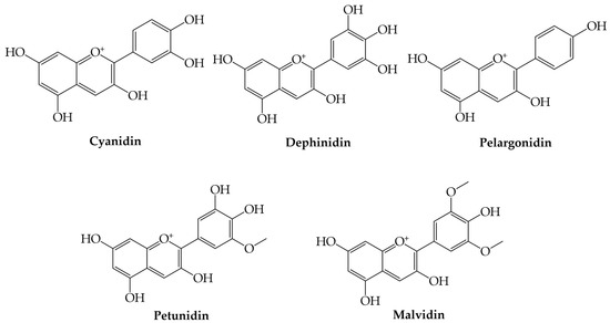 Flavonoids: Overview of Biosynthesis, Biological Activity, and Current Extraction Techniques