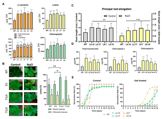 Putative Daucus carota Capsanthin-Capsorubin Synthase (DcCCS) Possesses ...