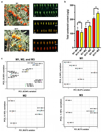 Transcriptomics and Metabolomics Reveal the Critical Genes of ...