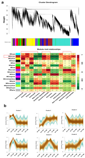 Transcriptomics and Metabolomics Reveal the Critical Genes of ...