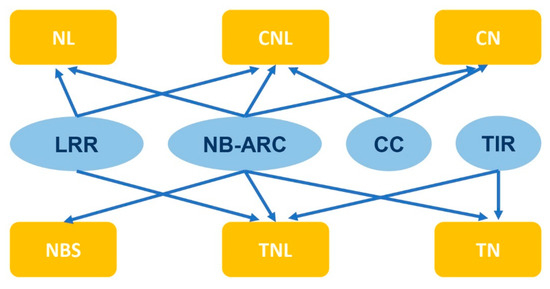 Contribution of Duplicated Nucleotide-Binding Leucine-Rich Repeat (NLR ...
