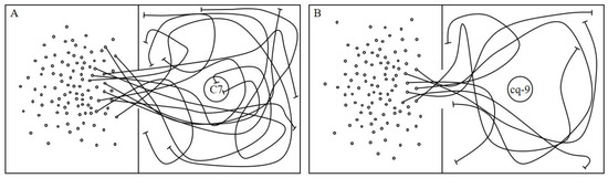 Investigation of the Relationship between Genetic and Breeding ...