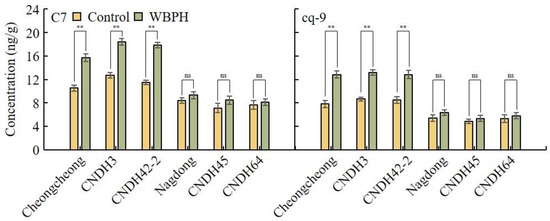 Investigation of the Relationship between Genetic and Breeding ...