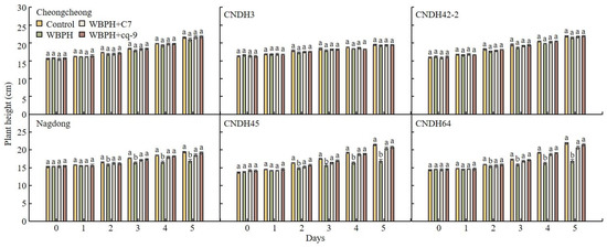 Investigation of the Relationship between Genetic and Breeding ...