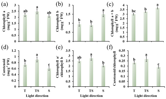 Top and Side Lighting Induce Morphophysiological Improvements in Korean ...