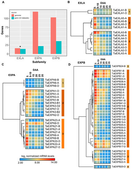 Integrated Transcriptome Analysis Identified Key Expansin Genes ...