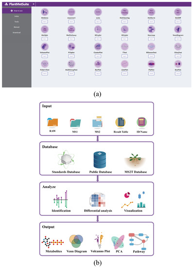 PlantMetSuite: A User-Friendly Web-Based Tool for Metabolomics Analysis and Visualisation
