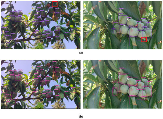 Plants | Free Full-Text | YOLOv7-Plum: Advancing Plum Fruit Detection ...