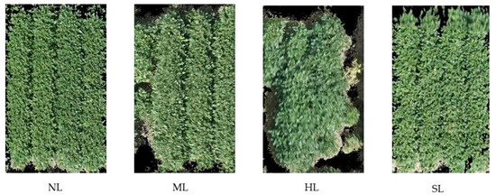 Assessment of Soybean Lodging Using UAV Imagery and Machine Learning