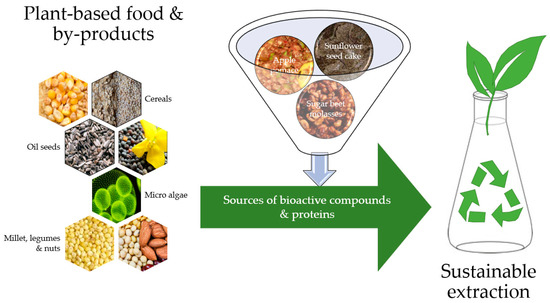 Sustainable Isolation of Bioactive Compounds and Proteins from Plant ...