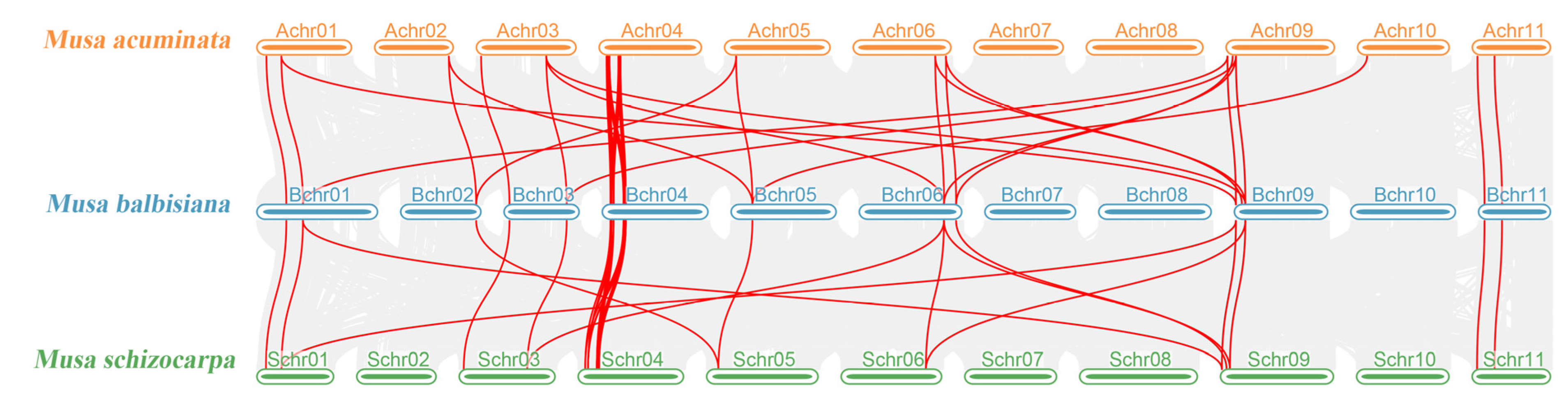 Genome-Wide Identification of the MPK Gene Family and Expression ...