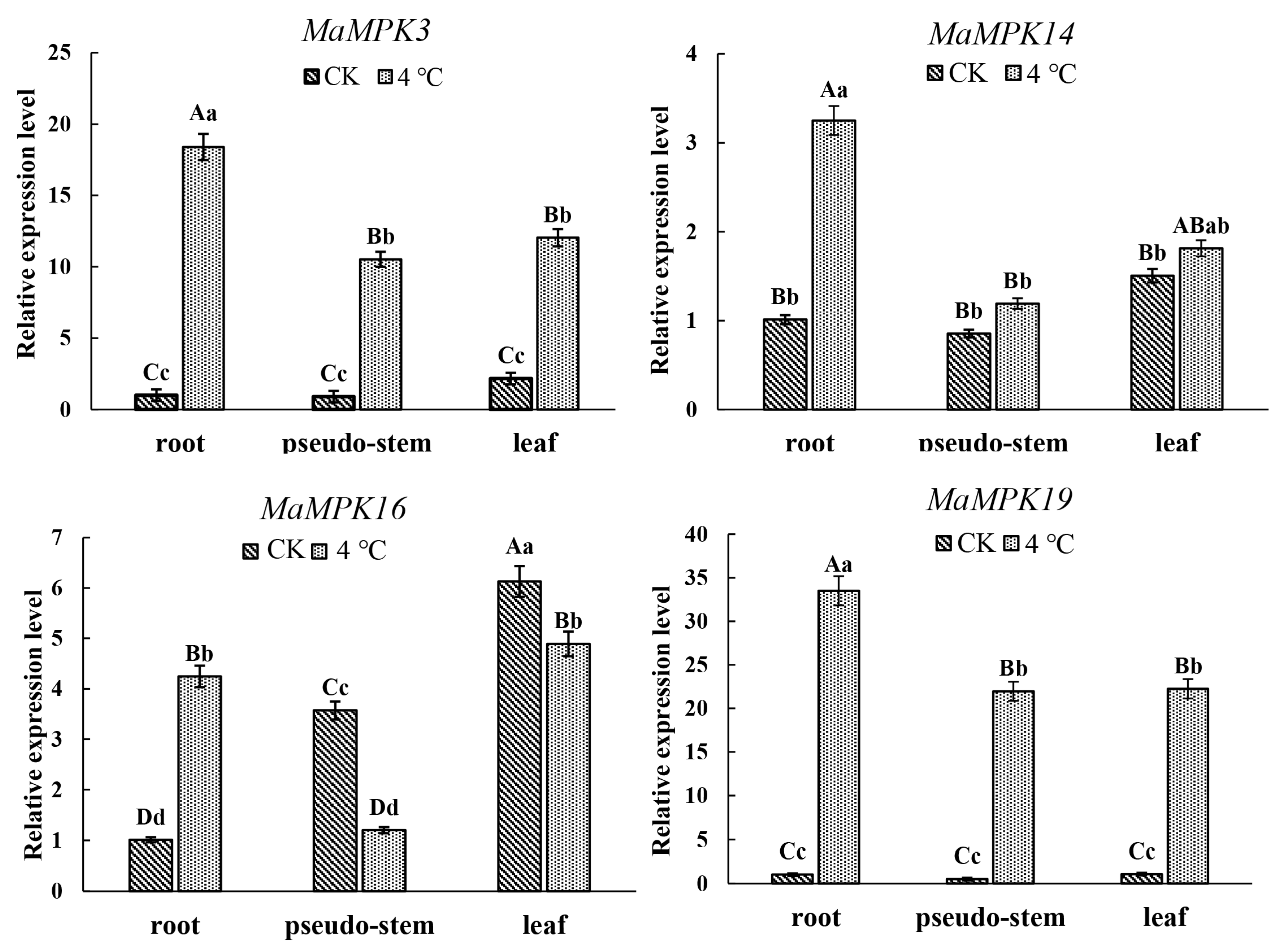 Genome-Wide Identification of the MPK Gene Family and Expression ...