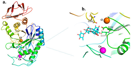 New Insights into the Latest Advancement in α-Amylase Inhibitors of ...