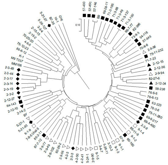 Genetic Diversity of Apple Clonal Rootstocks from the Collection of the ...