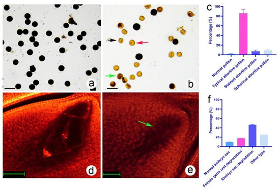 In Vitro Induction of Interspecific Hybrid and Polyploidy Derived from ...