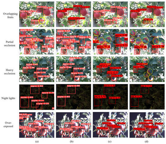 Lightweight Algorithm For Apple Detection Based On An Improved Yolov5 Model