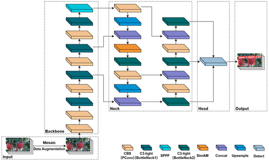 Lightweight Algorithm for Apple Detection Based on an Improved YOLOv5 Model
