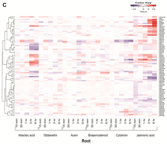 A Comprehensive Genome-Wide Investigation of the Cytochrome 71 (OsCYP71) Gene Family: Revealing ...