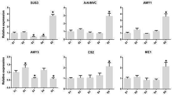 Transcriptome and Metabolome Reveal Sugar and Organic Acid Accumulation in Rosa roxburghii Fruit