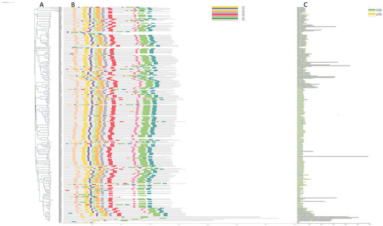 Genome-Wide Identification, Phylogeny and Expression Analysis of ...