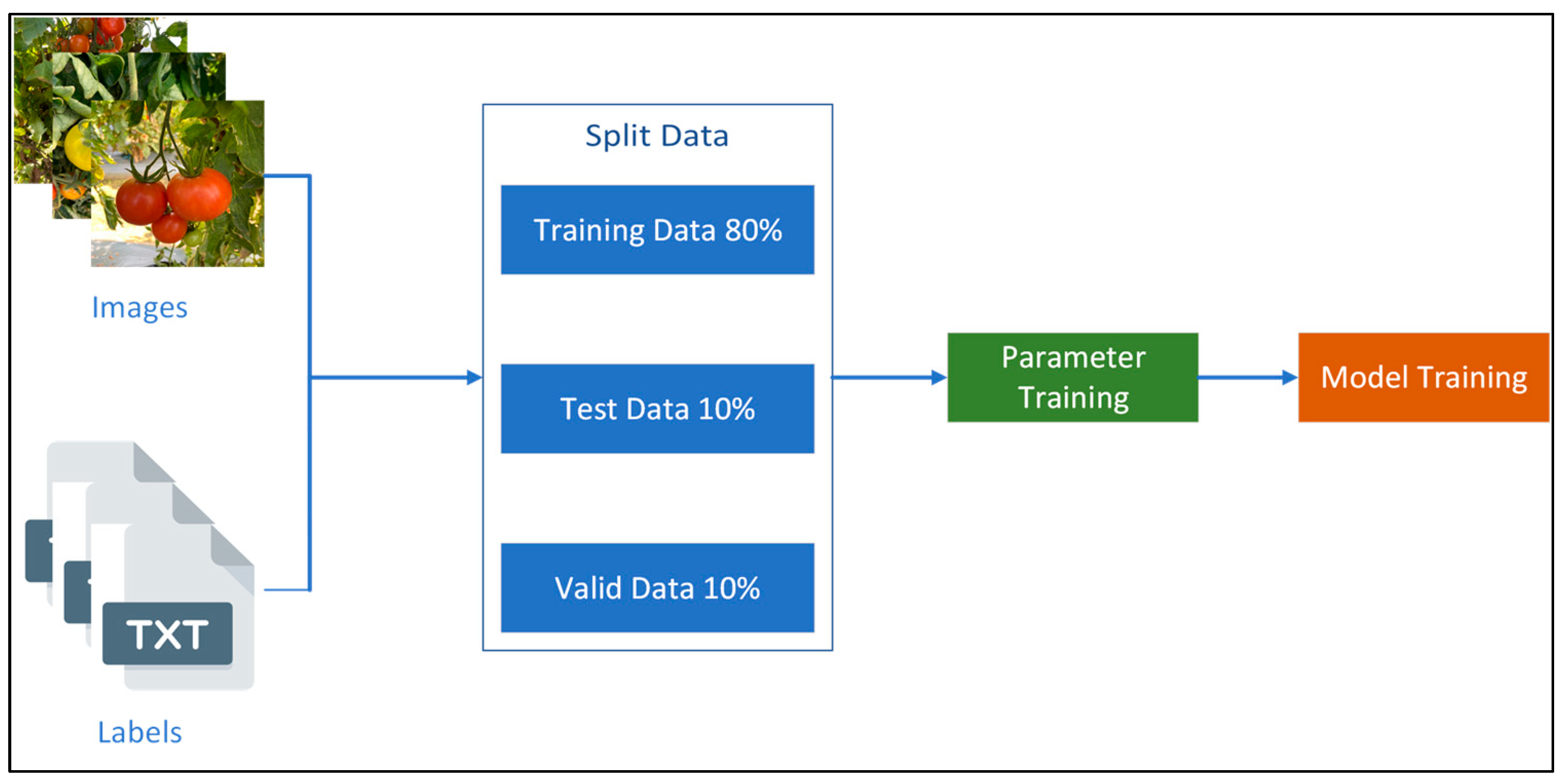 Tomato Fruit Detection Using Modified Yolov5m Model with Convolutional ...