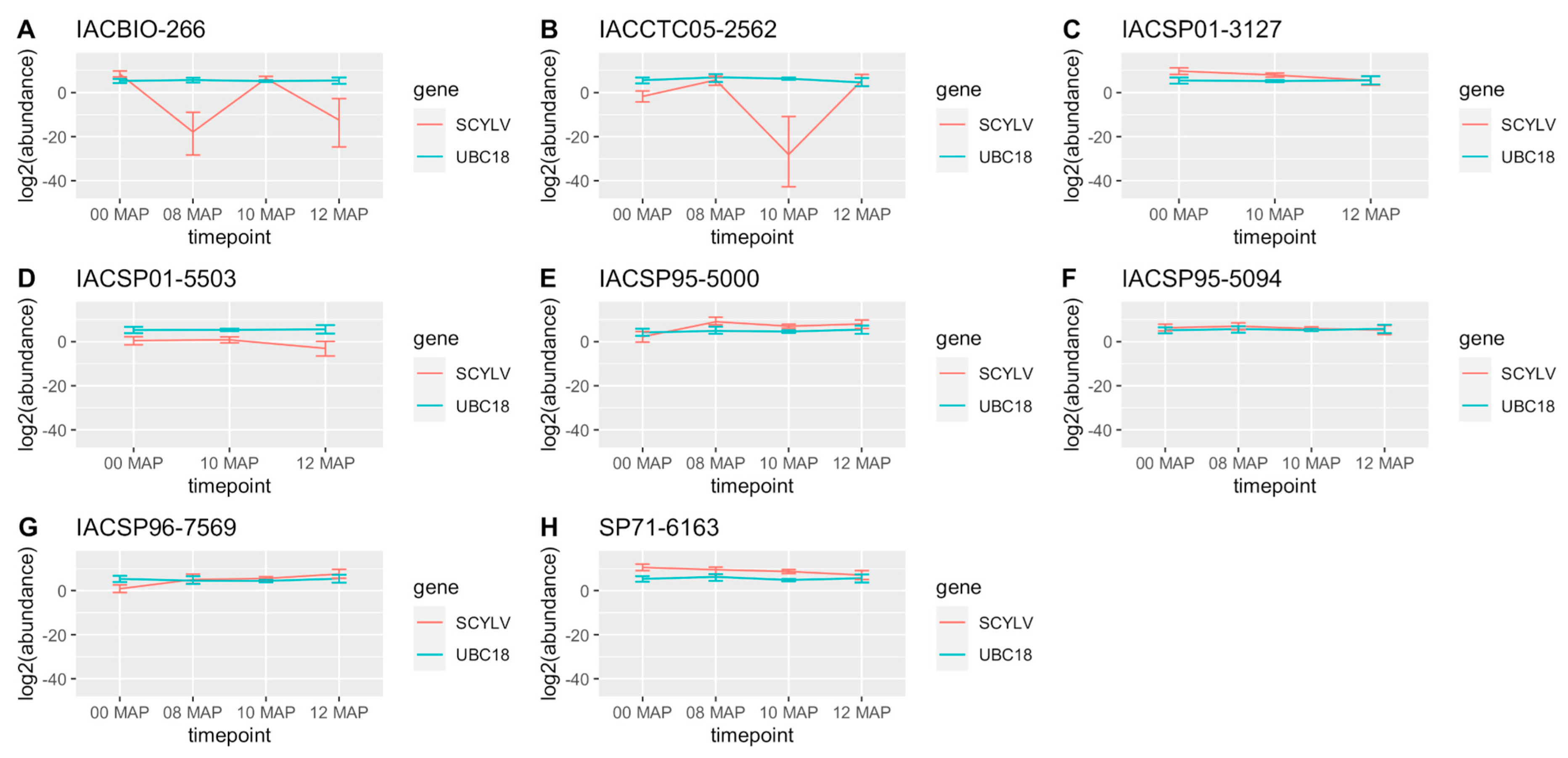 Yellow Leaf Disease Resistance and Melanaphis sacchari Preference in ...