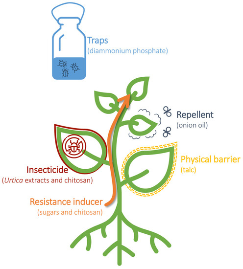 Plants | Free Full-Text | Are Basic Substances a Key to Sustainable ...