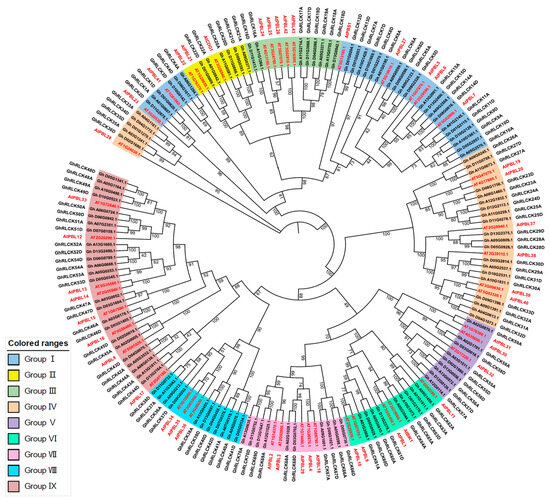 Genome-Wide Identification and Expression Analysis of RLCK-VII ...