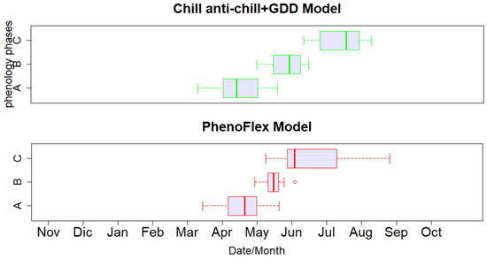 Modeling Phenological Phases across Olive Cultivars in the Mediterranean