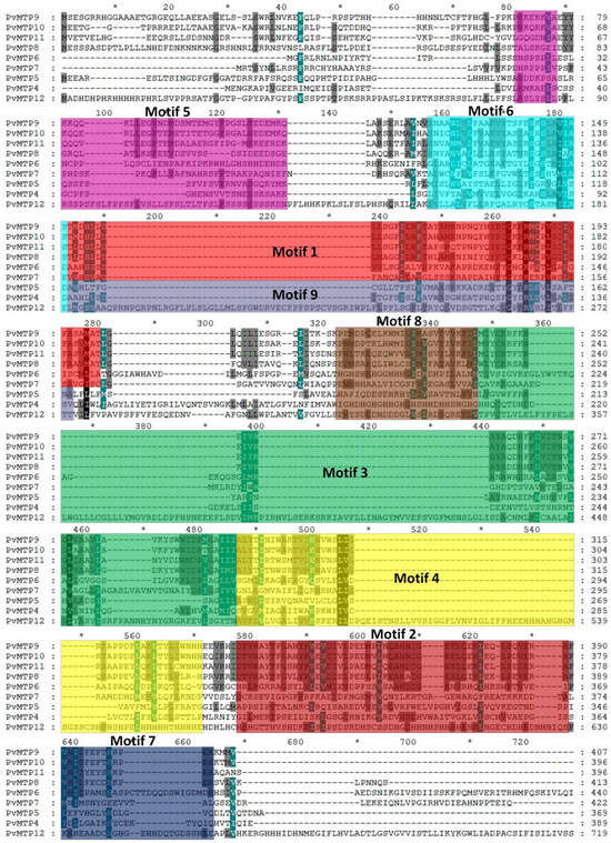 Plants | Free Full-Text | Genome-Wide Identification and Expression Analysis of MTP (Metal Ion ...