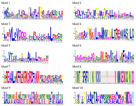 Genome-Wide Identification of the RR Gene Family and Its Expression ...