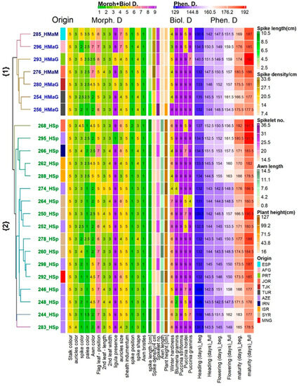 Plants | Free Full-Text | Exploring Wild Hordeum spontaneum and Hordeum ...
