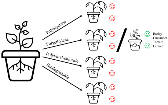 Impacts of Plastics on Plant Development: Recent Advances and Future ...