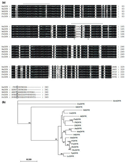 Total Flavonoid Contents and the Expression of Flavonoid Biosynthetic ...
