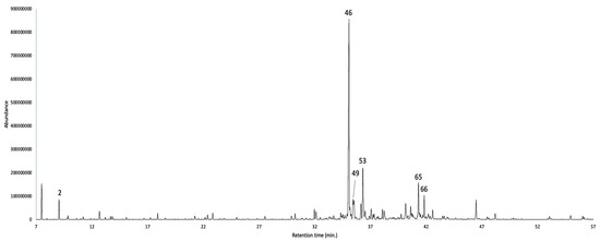 Plants | Free Full-Text | A New Essential Oil from the Native Andean ...