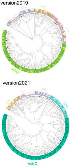 Identification and Expression of the MADS-box Gene Family in Different ...