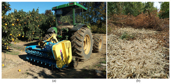 Citrus Pruning in the Mediterranean Climate: A Review