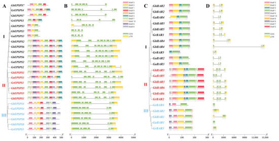 Identification and Expression Analysis of EPSPS and BAR Families in Cotton