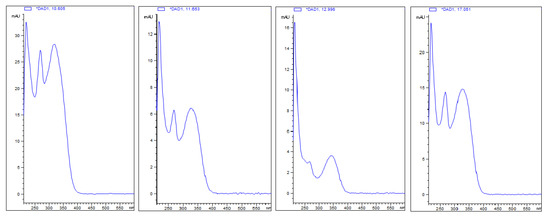 Inaugural Description of Extrafloral Nectaries in Sapindaceae ...