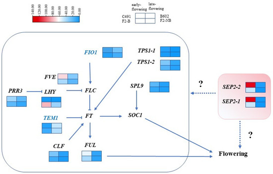 Transcriptome Analysis Reveals Key Genes and Pathways Associated with ...