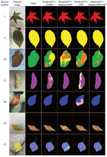 An Approach for Plant Leaf Image Segmentation Based on YOLOV8 and the Improved DEEPLABV3+